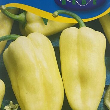 Paprika poľná biela sladká - Amy, 0,4g - osiva.sk